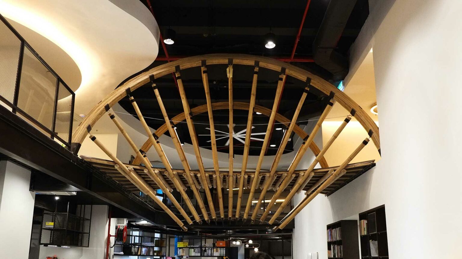 SEAD | Building A Regenerative Economy With Bamboo